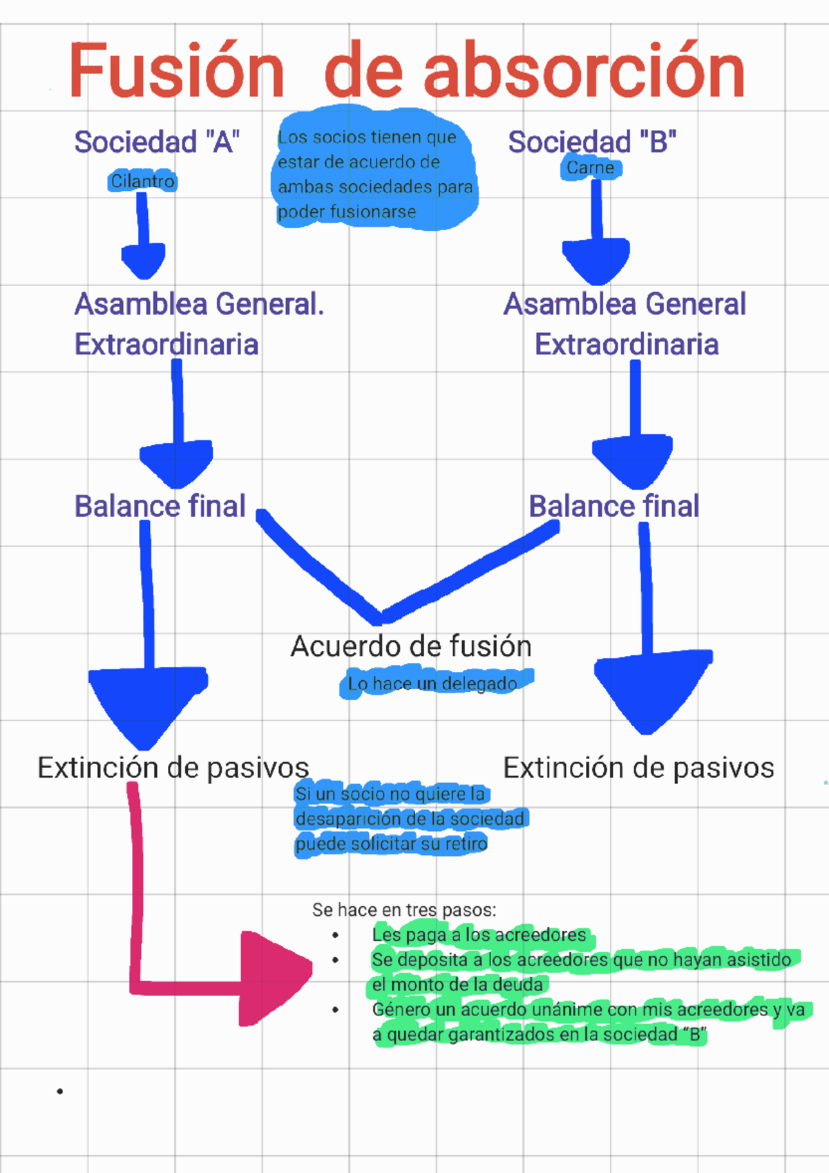 Fusión 250406 194302 - Proceso y Requisitos de Fusión por Absorción ...