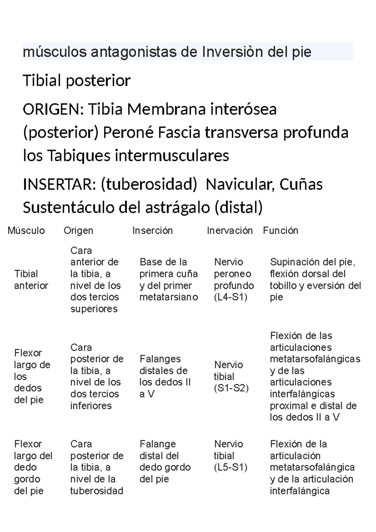 Músculos Antagonistas de Inversión del Pie - Anatomía y Función - Studocu
