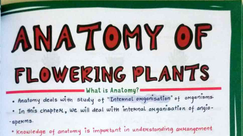 Anatomy - Sbnsn - ANATOMY OF FLOWEKING PLANTS What is Anatomy? .Anatomy ...