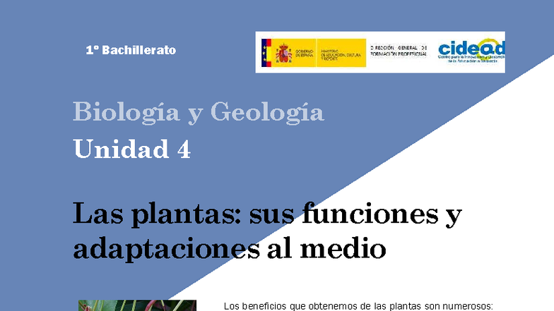 Tema 04: Las Plantas - Funciones y Adaptaciones al Medio en 1º ...