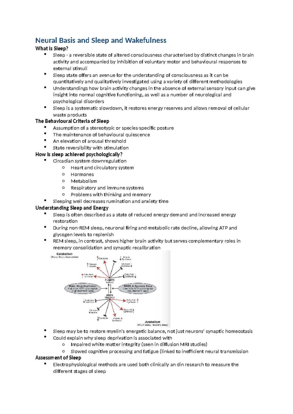 W10 - Neural Basis of Sleep and Wakefulness: Understanding Mechanisms ...