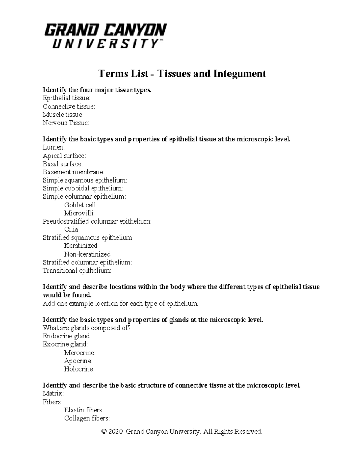 Tissues and Integument: Major Types and Properties Overview (BIO 202 ...