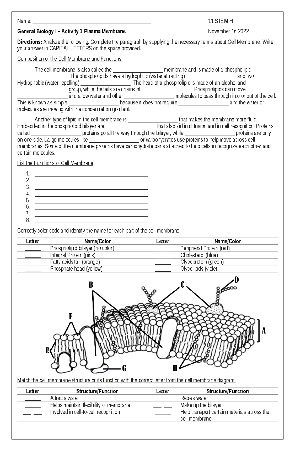 Activity 1 Plasma Membrane - Name ...