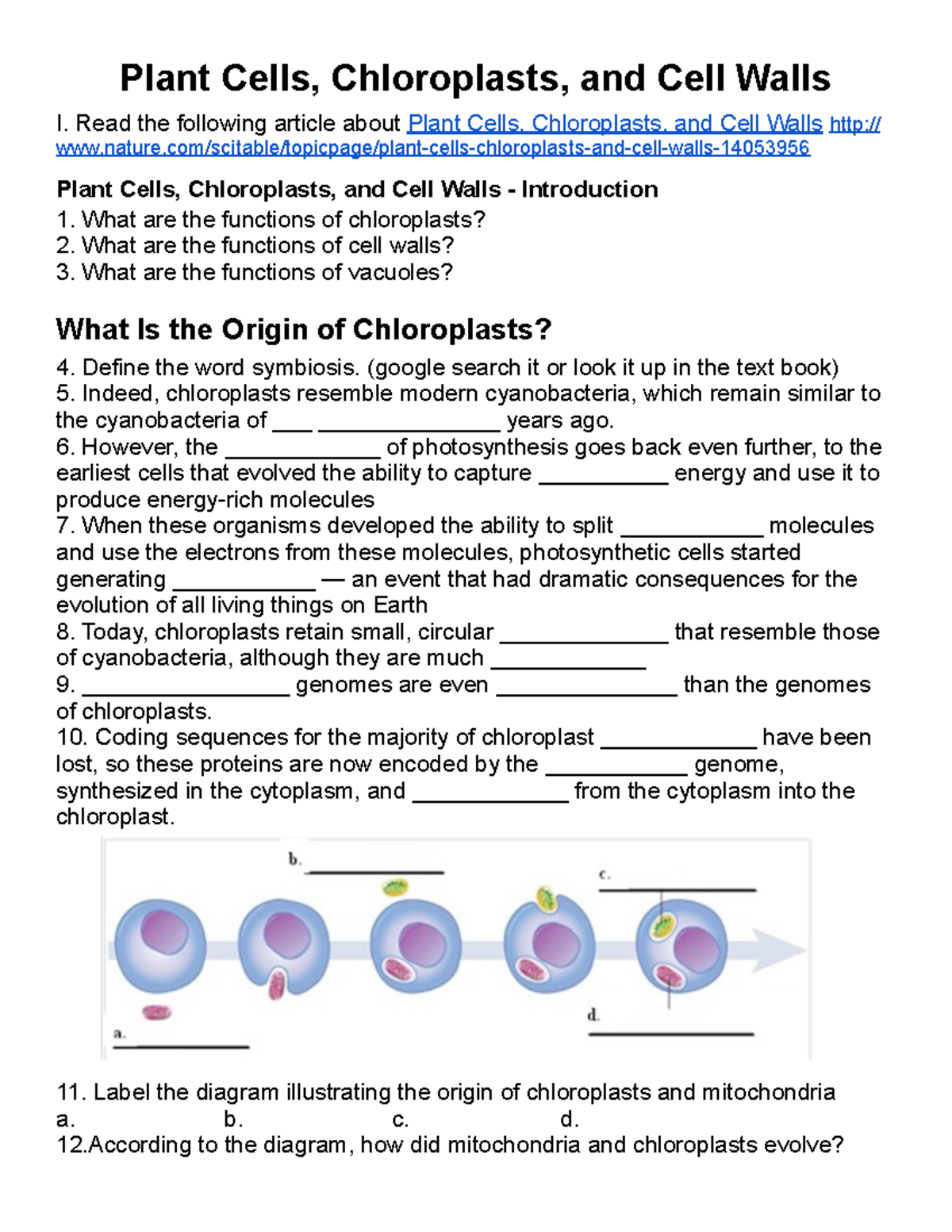 Pdf plant cells chloroplasts cell walls - Plant Cells, Chloroplasts ...