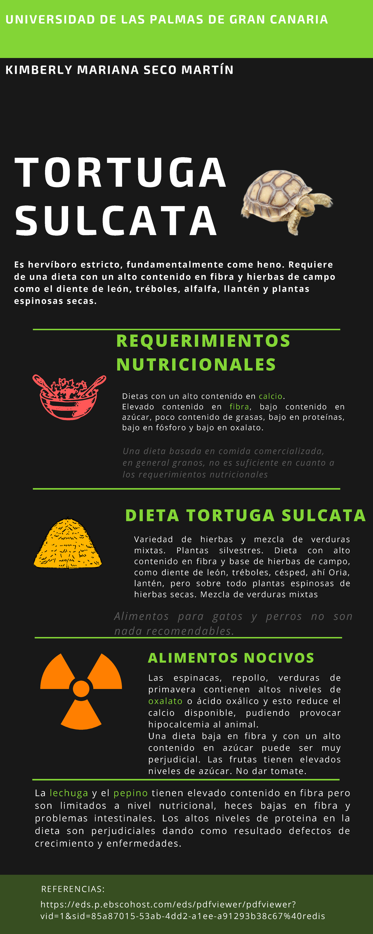 Lista De Dieta De La Tortuga Sulcata 720x993