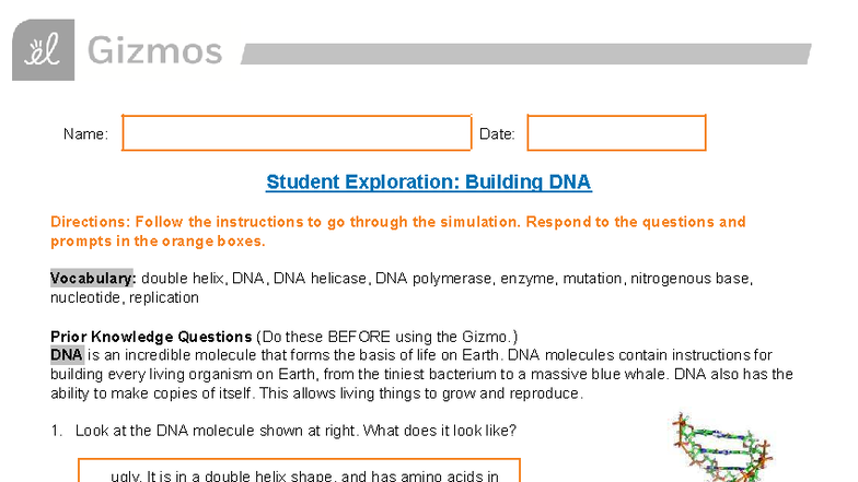 Building DNA Simulation: Student Exploration Guide (GIZMO) - Studocu