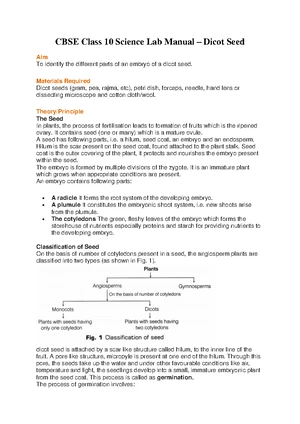 CBSE Class 10 Science Lab Manual – Reactivity Series - CBSE Class 10 ...