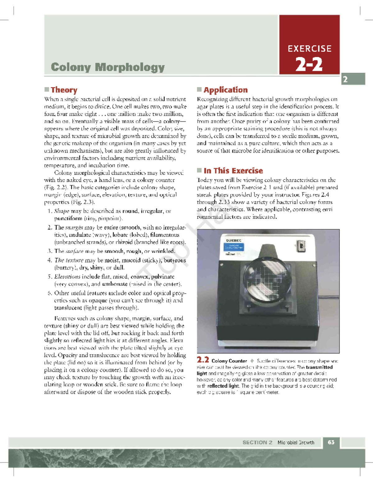 Microbial Growth: Colony Morphology Observations (Lab Exercise) - Studocu