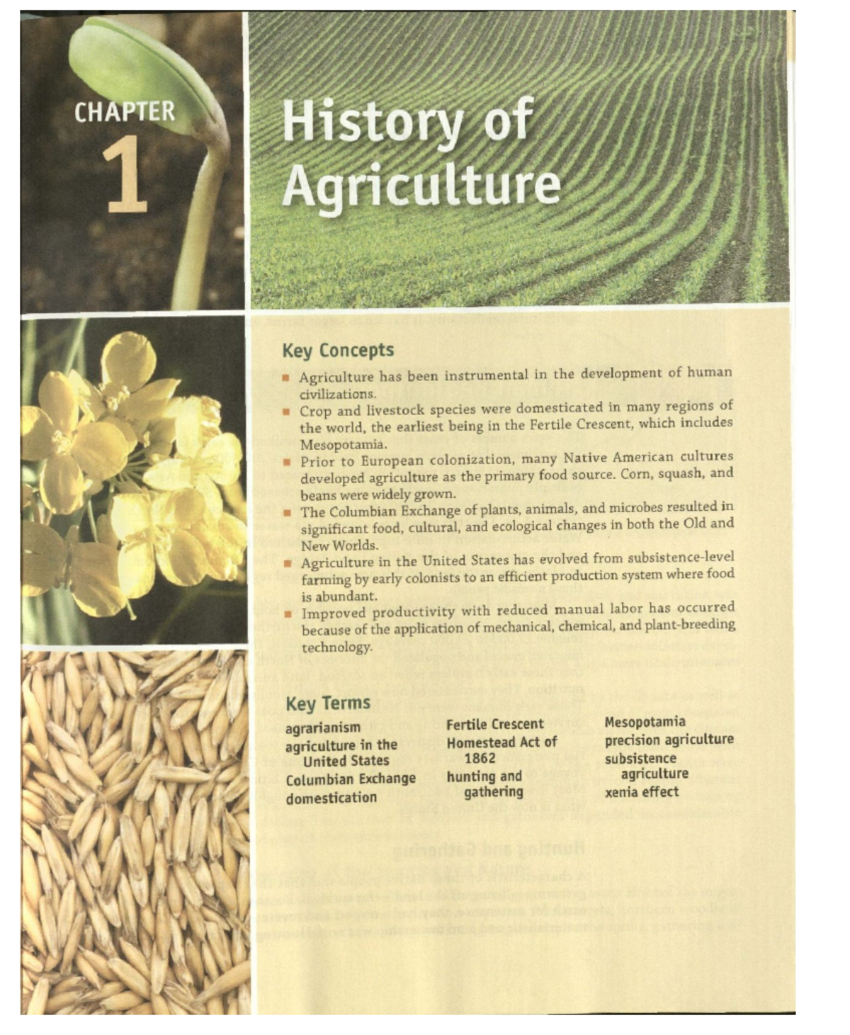 CHAPTER 1: History of Agriculture - Key Concepts and Developments - Studocu