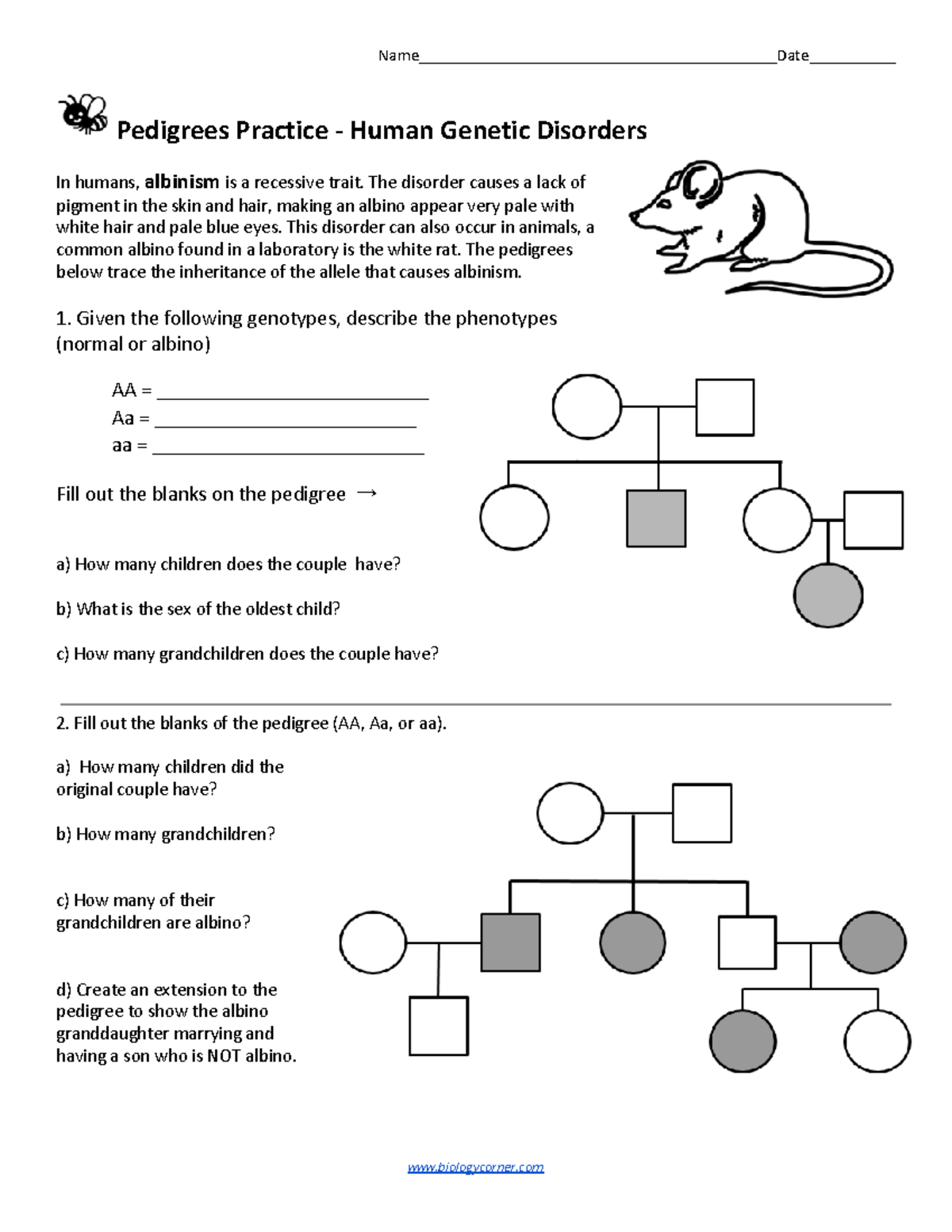 Pedigrees Practice: Human Genetic Disorders Analysis and Exercises - Studocu