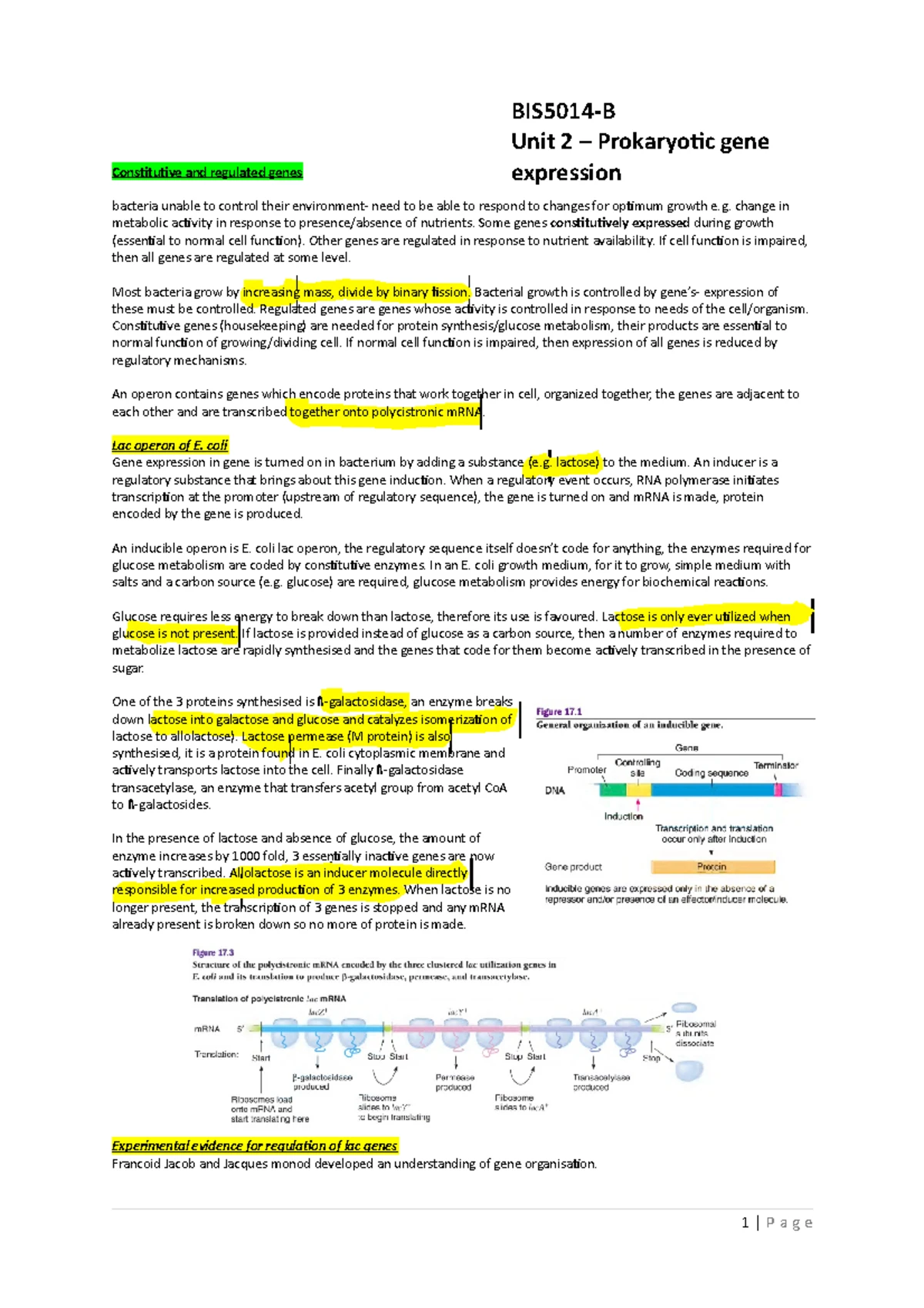 Student Study Guide Unit 5 - Cloning and plasmids/vectors in general ...