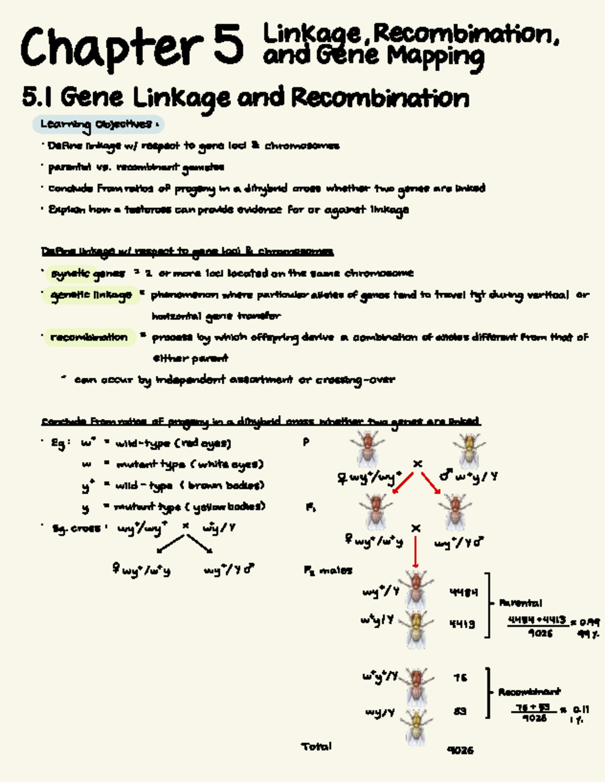 BIOL2301 - Chapter 5 Summary: Gene Linkage and Recombination Concepts ...