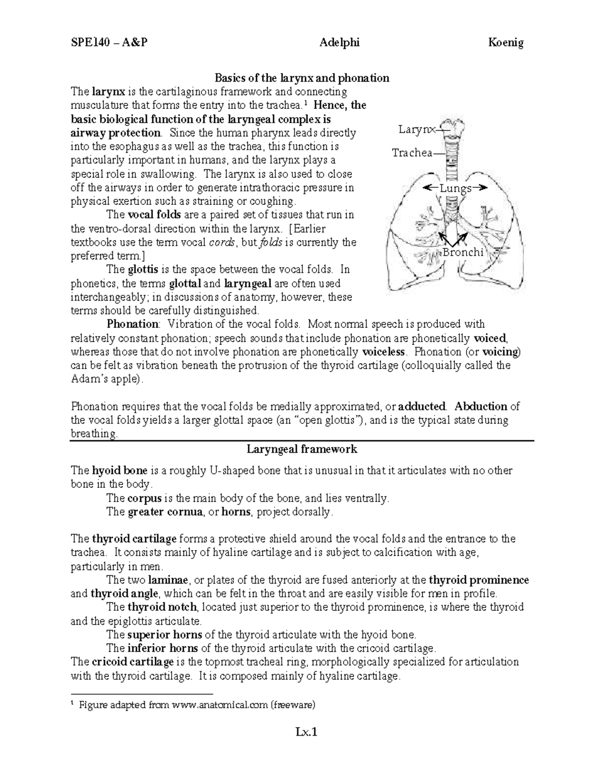 SPE140 Adelphi Koenig Physiology of Phonation & Vocal Fold Function ...