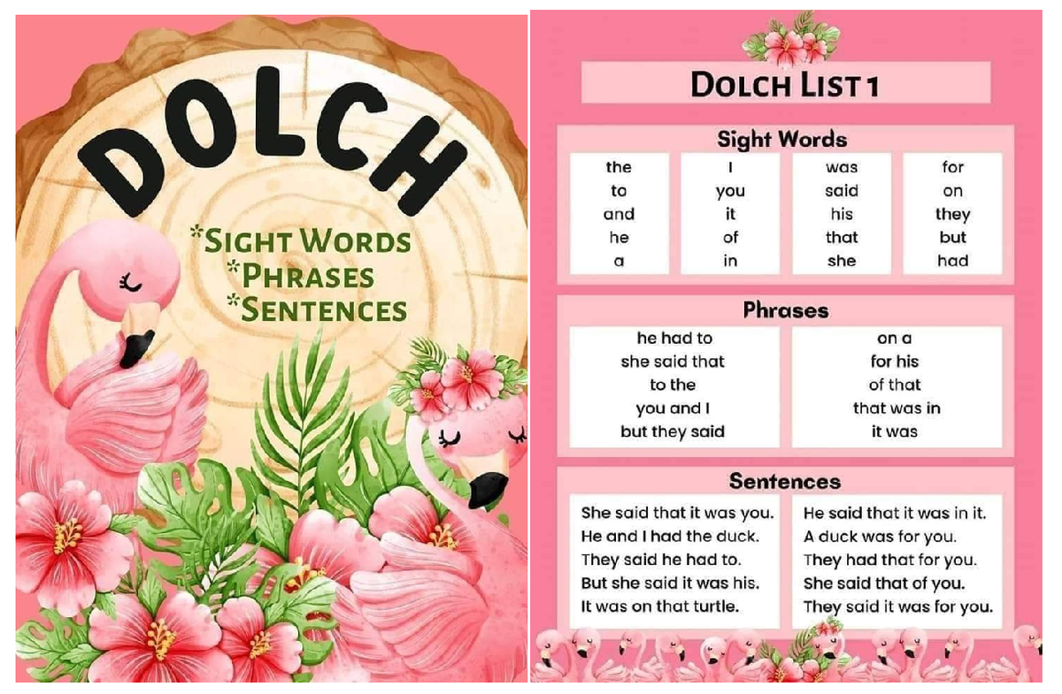 Dolch Sight Words Overview - Reading Notes for Mastery - Studocu