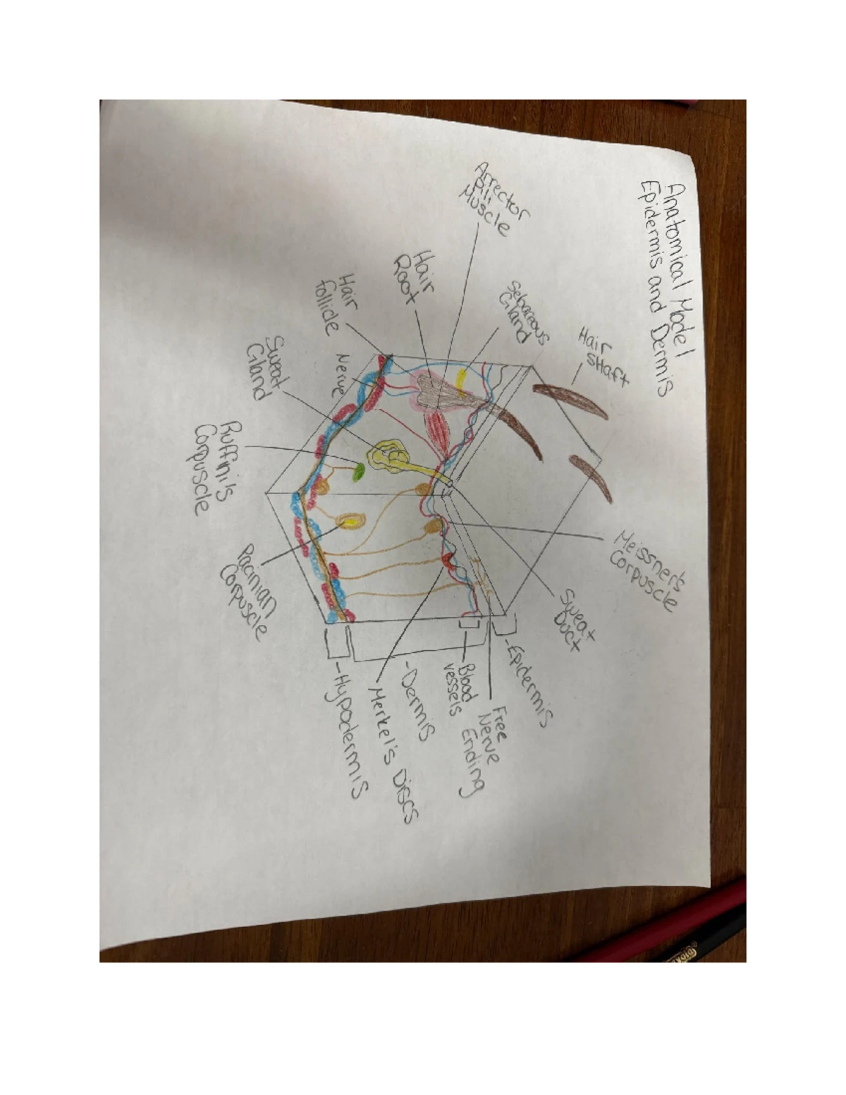 Mod01 Assignment: Leading vs Non-Leading Queries in CDI - Studocu