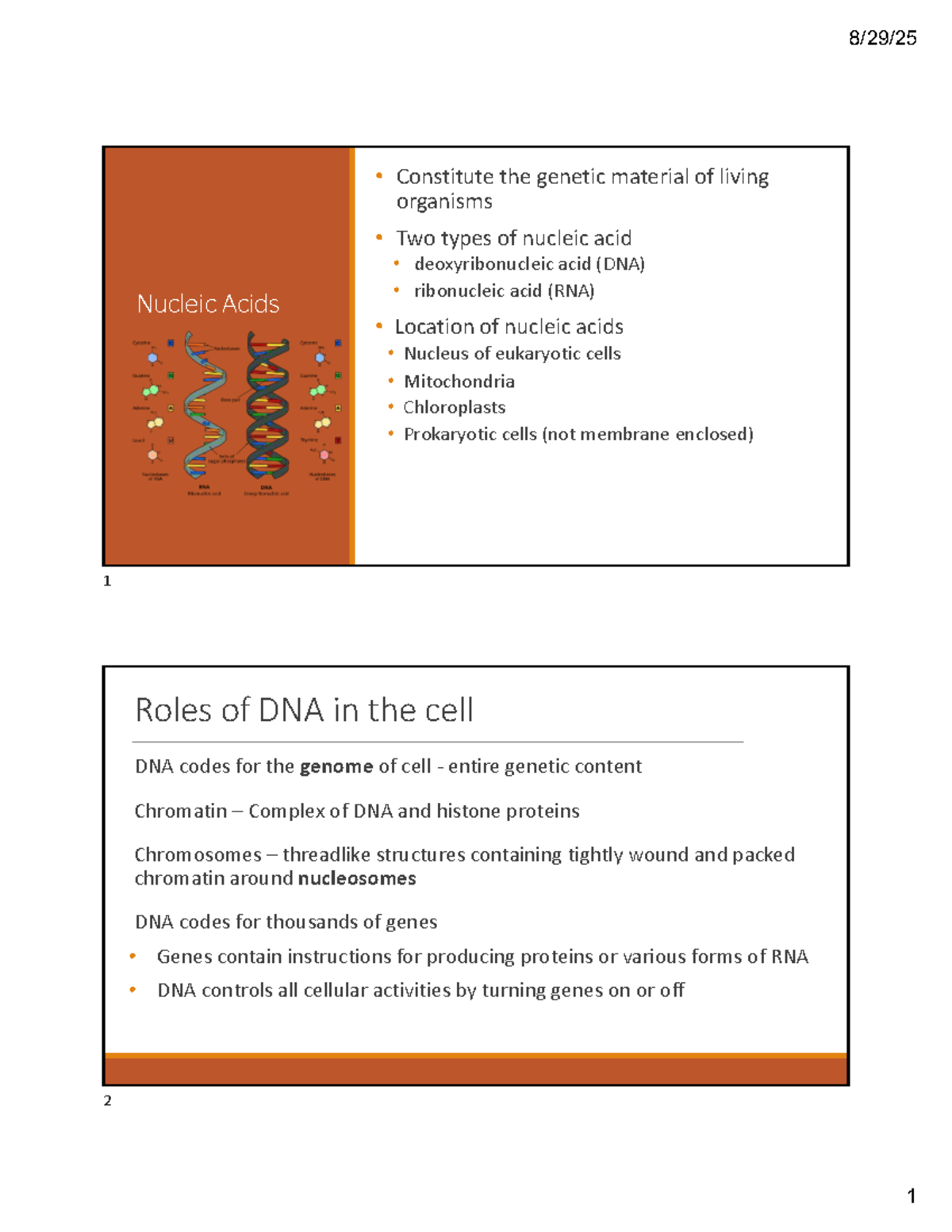 BIO 1121-4 Nucleic Acids: Structure & Functions of DNA and RNA - Studocu