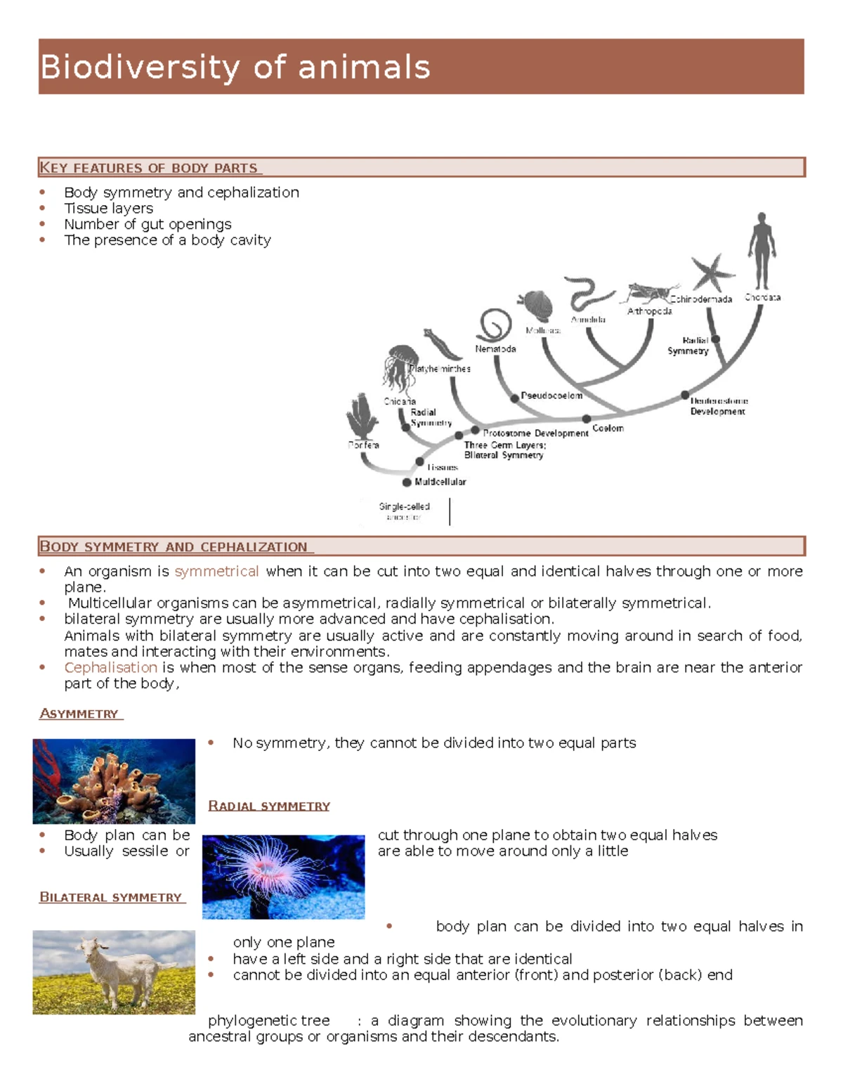 Gr11 Topic Test Gaseous Exchange - LIFE SCIENCES TOPIC TEST- Grade 11 ...