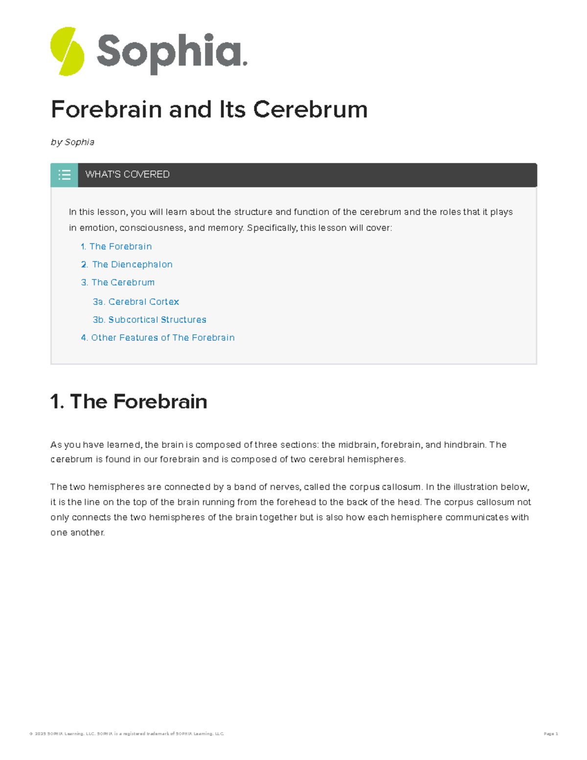 Exploring the Forebrain: Structure & Function of the Cerebrum - Studocu