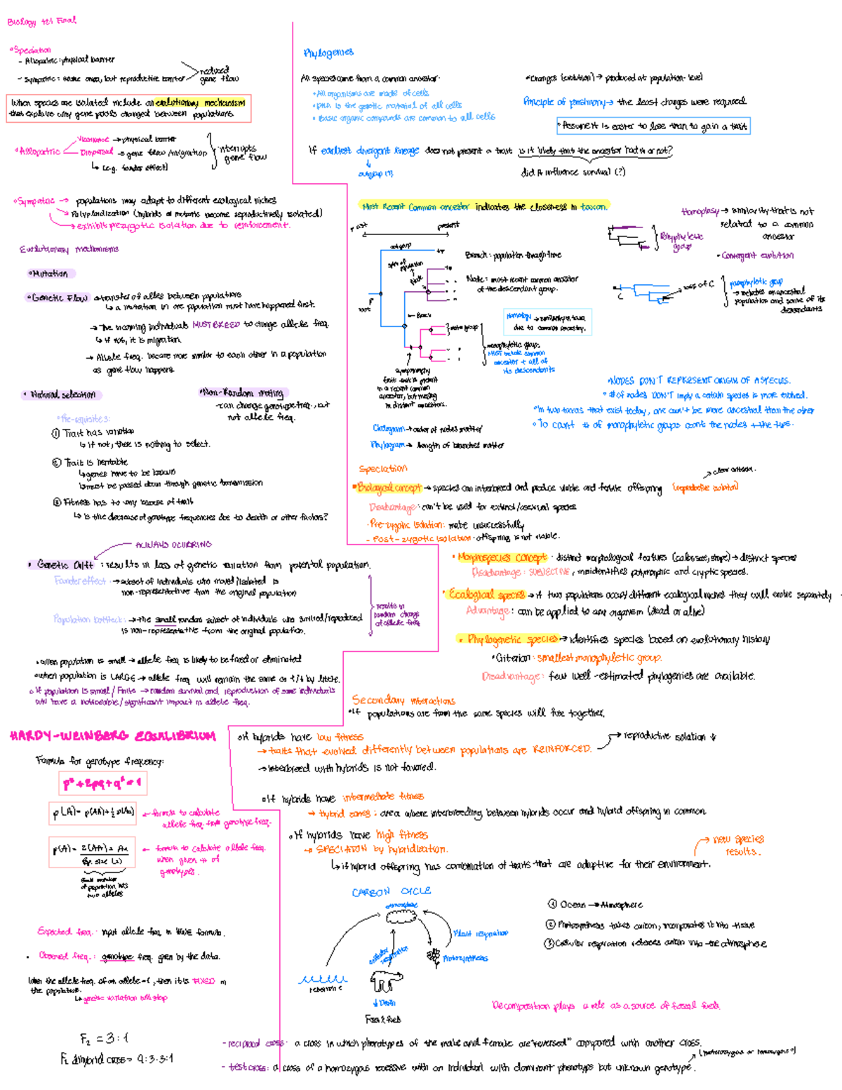 Biol 121 Final Exam Study Guide on Speciation and Genetics - Studocu