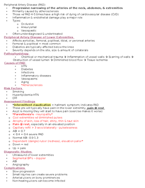 Custom Pediatric Level 2 Practice Assessment v A - If red then it is ...
