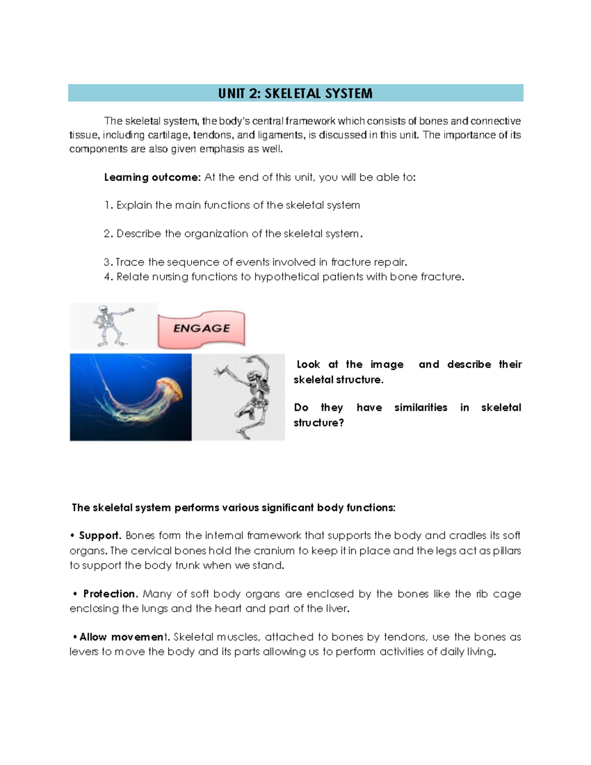 CN III UNIT 2: Overview of the Skeletal System and Its Functions - Studocu
