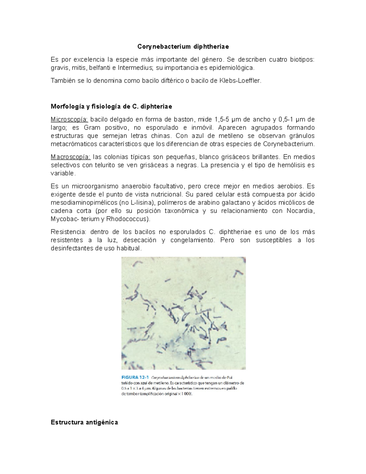 Corynebacterium diphtheriae - Se describen cuatro biotipos: gravis ...
