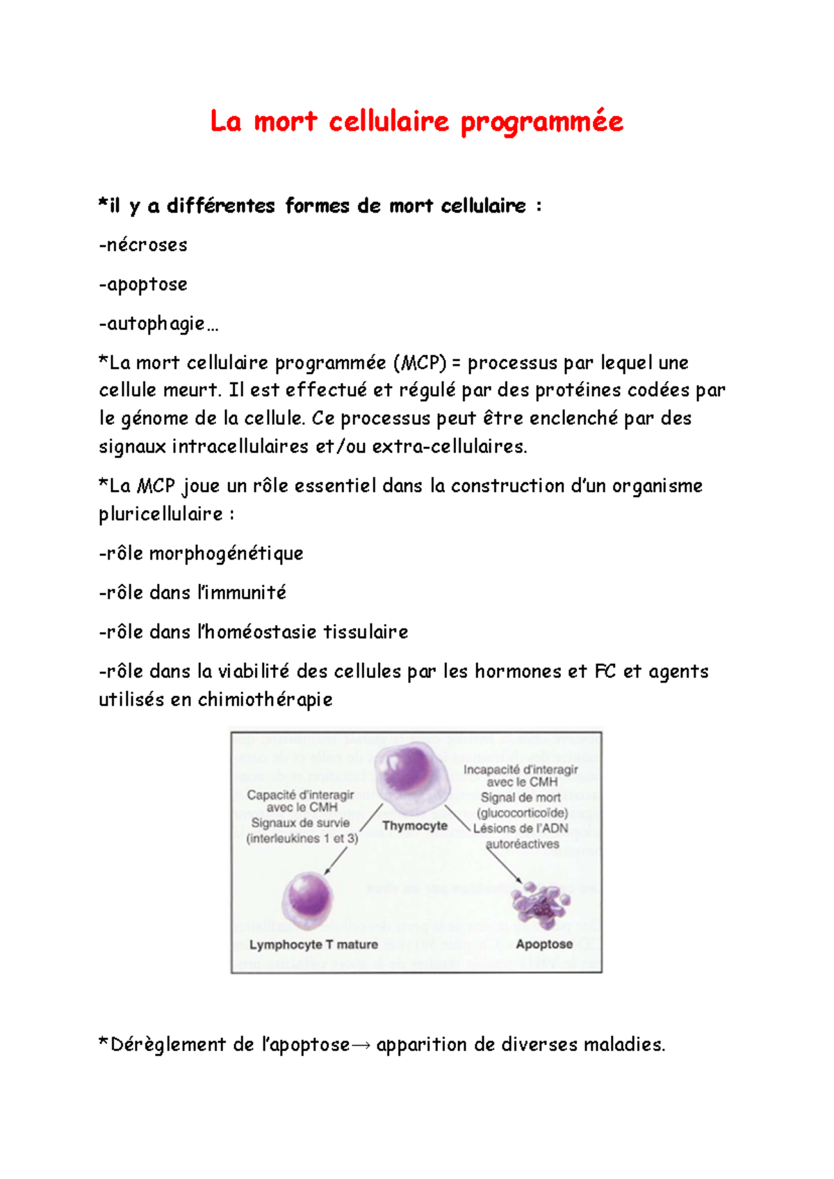 Apoptose et Mort Cellulaire Programmée : Mécanismes et Modifications ...