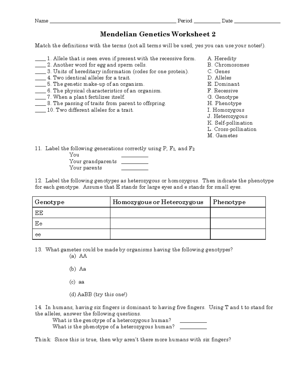 Mendelian Genetics Worksheet 2: Definitions & Genotypes - Studocu