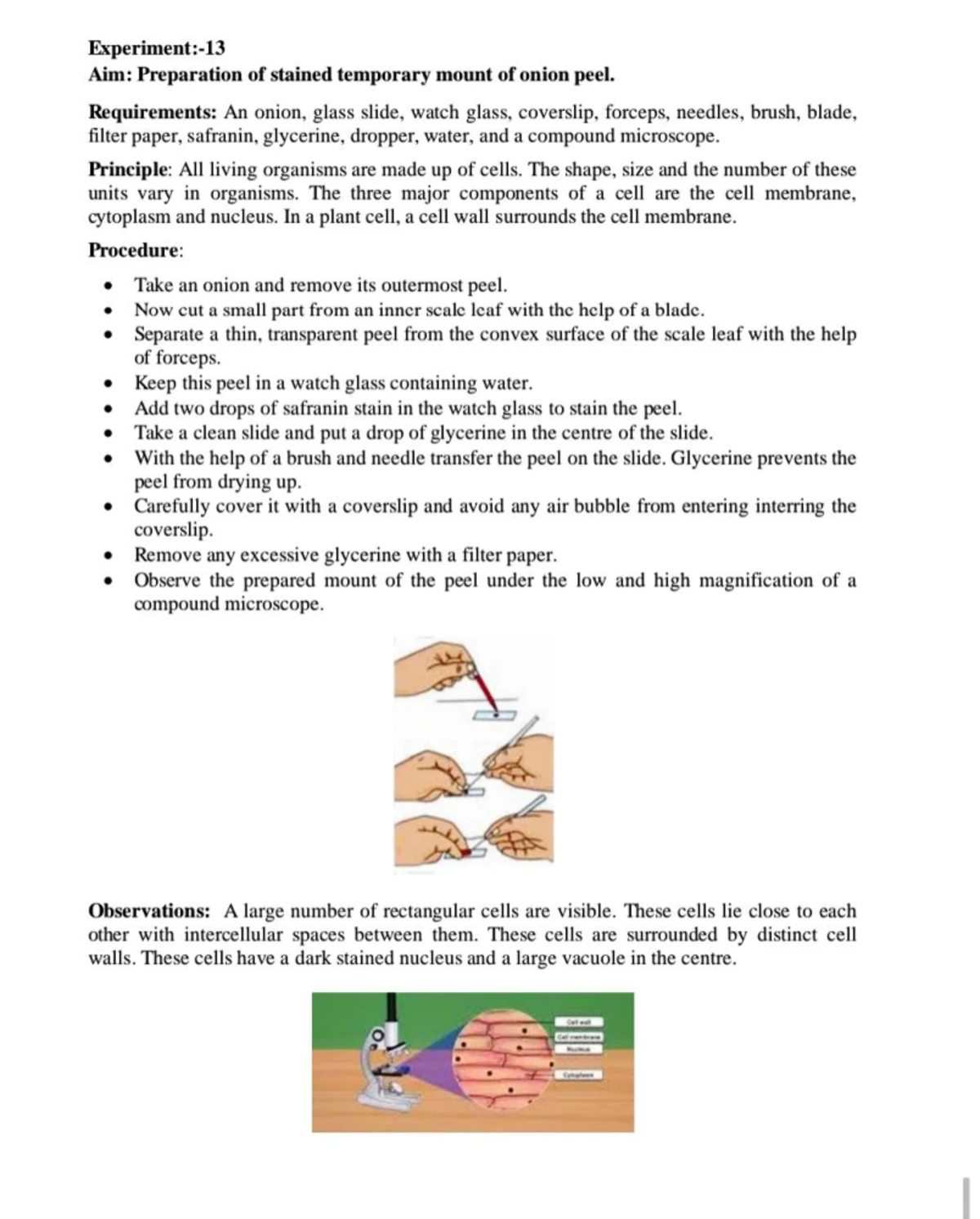 To study T.S. of oesophagous kidney testes ovary stomach liver pancreas ...