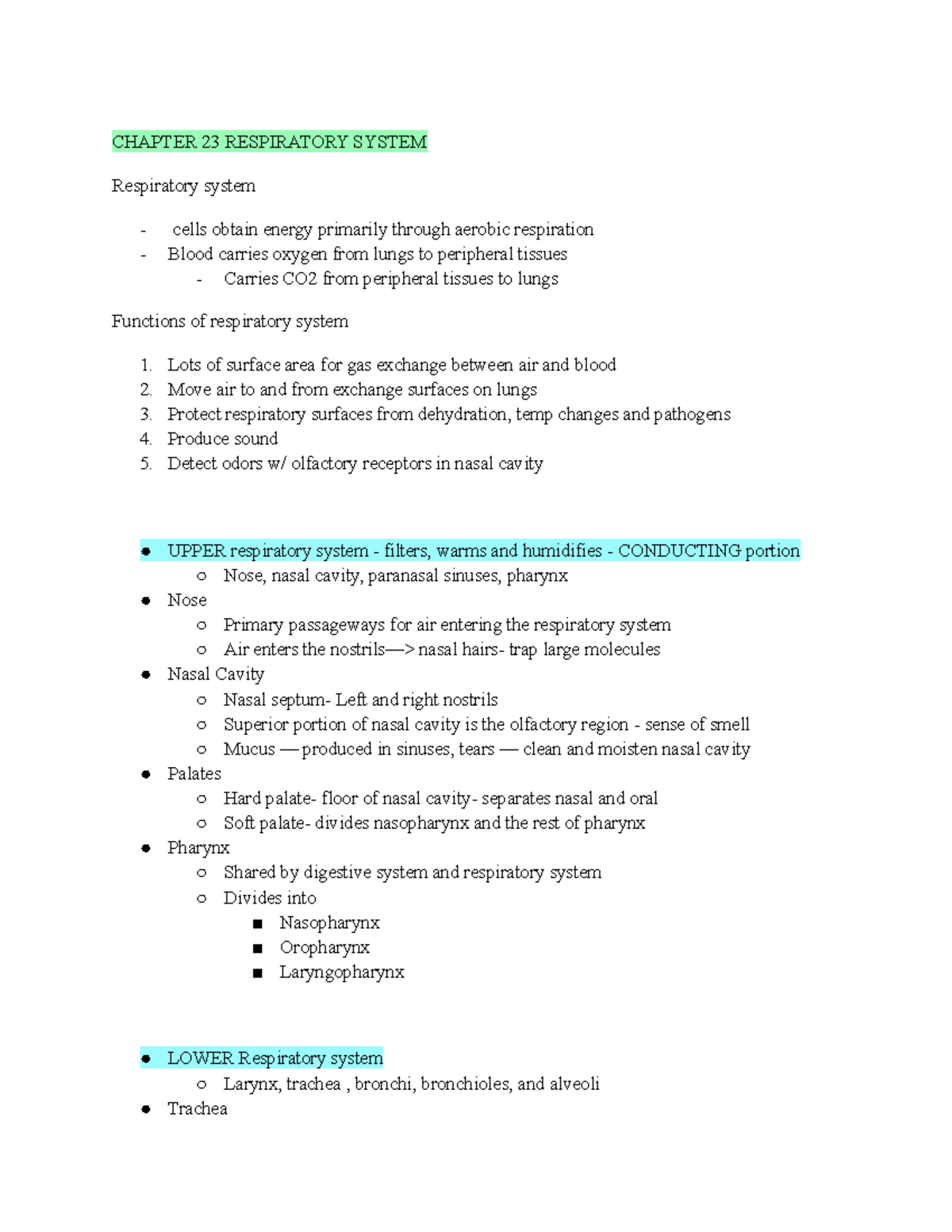 Chapter 23 Respiratory System - CHAPTER 23 RESPIRATORY SYSTEM ...