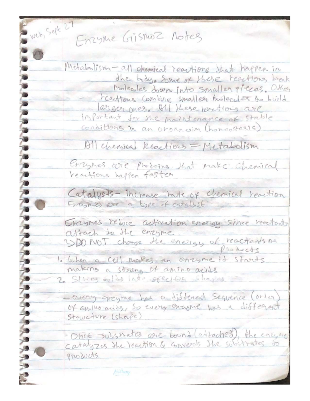 Enzyme Gizmo Notes: Metabolism & Catalysts Overview (Sept 27) - Studocu