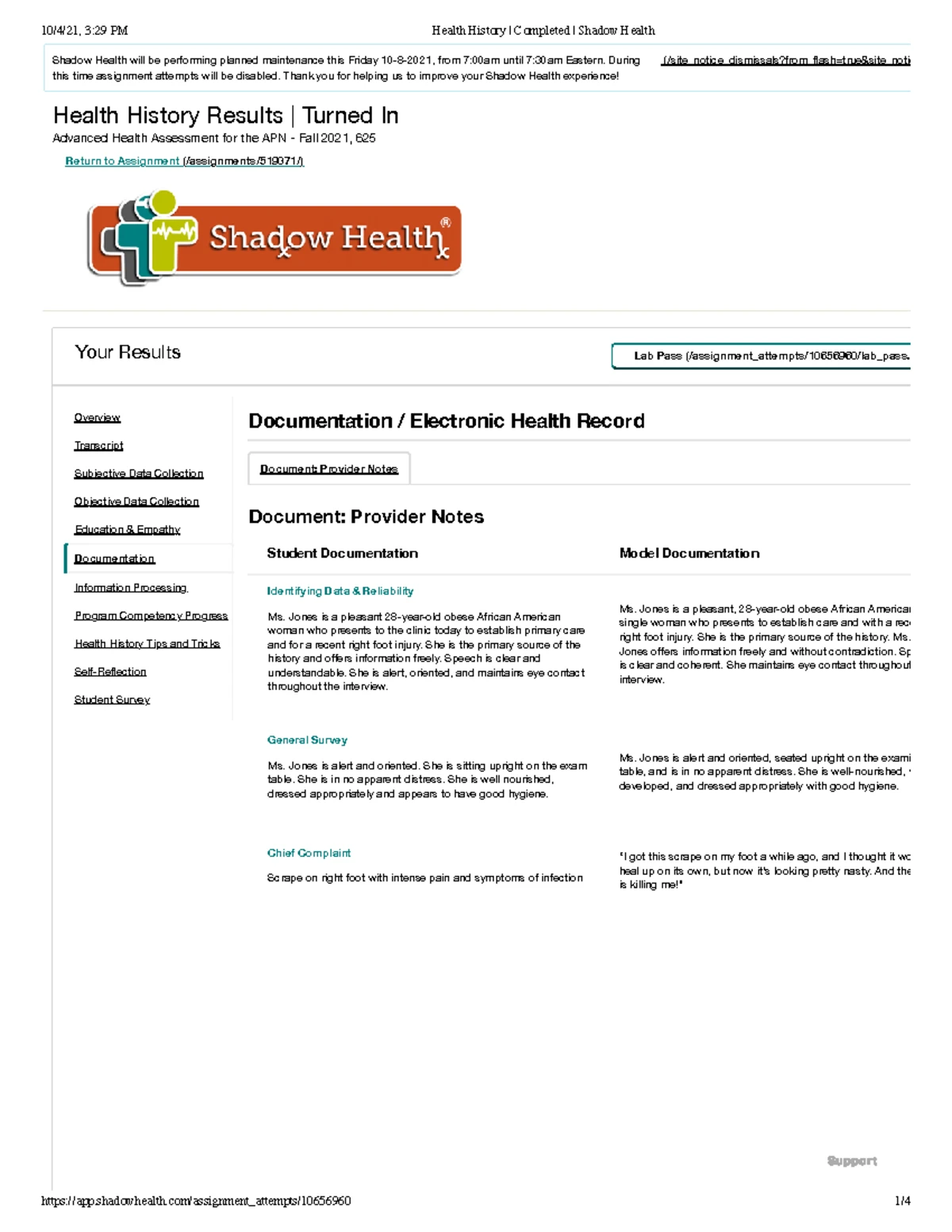 Health History Documentation for Tina Jones - Shadow Health Case Study ...