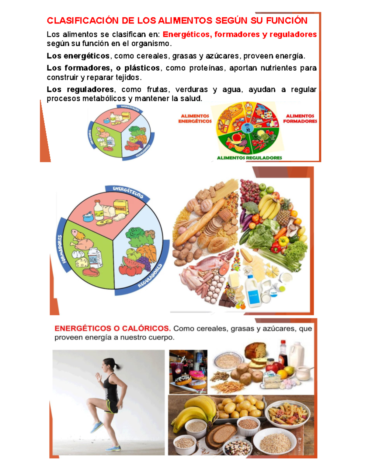 Clasificación de Alimentos y Bioelementos según su Función - CLAS 200 ...