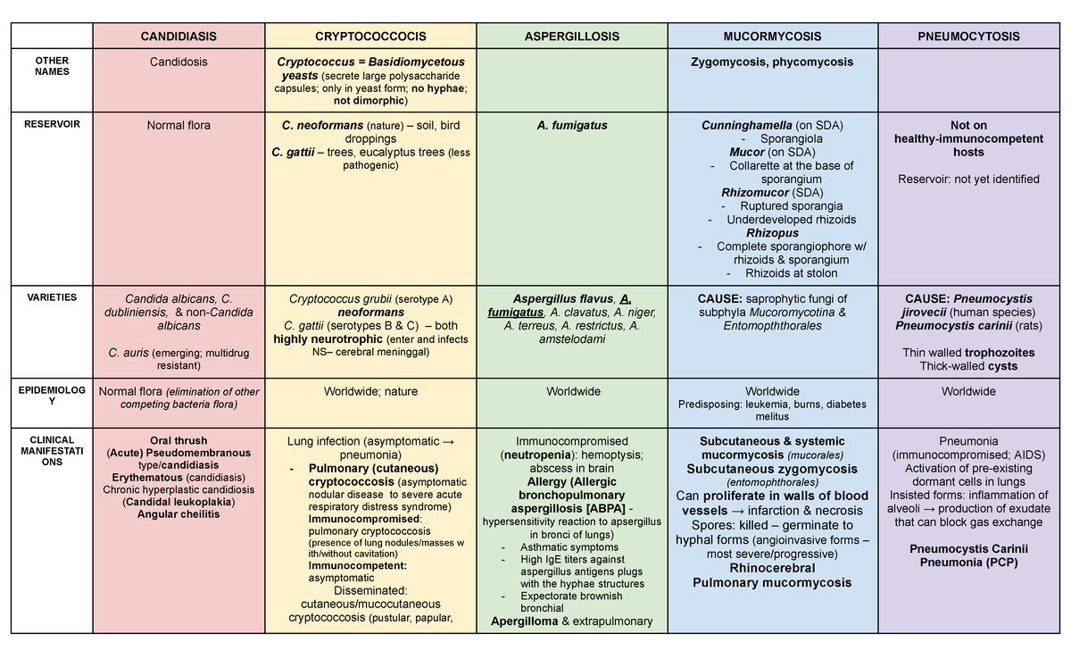 Opportunistic Mycoses: Candidiasis, Cryptococcosis, and More - Studocu