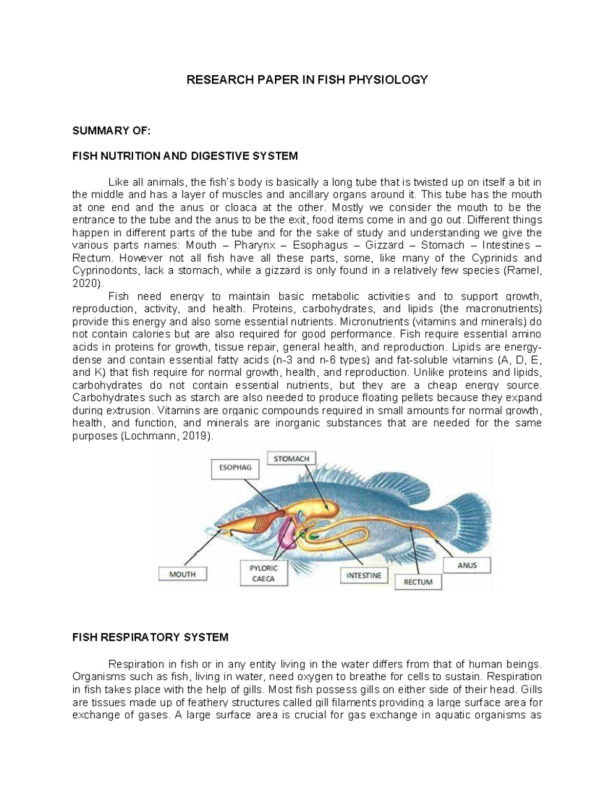 Research Paper IN Zoology - RESEARCH PAPER IN FISH PHYSIOLOGY SUMMARY ...