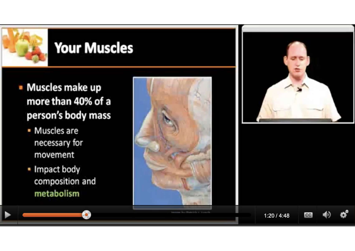 Muscular Strength and Endurance: Key Concepts and Benefits (KINE 101 ...