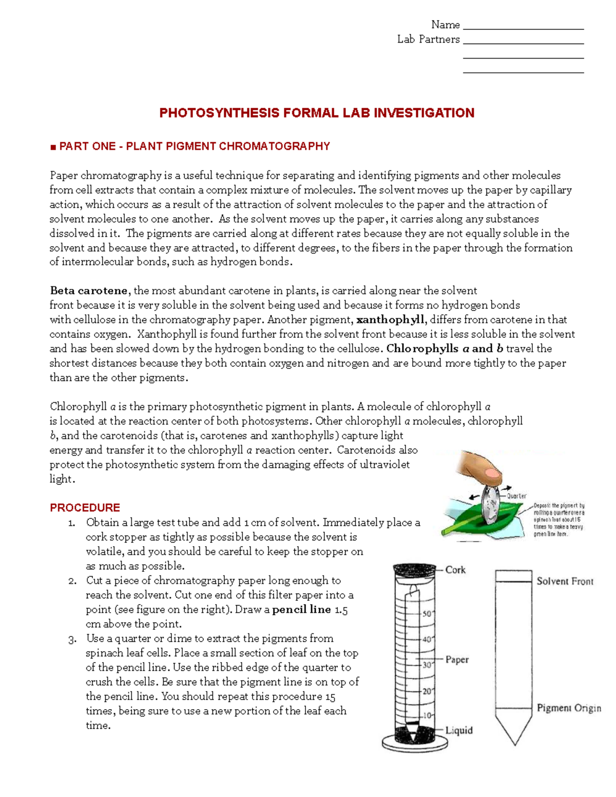 Photosynthesis Lab Investigation: Plant Pigment Chromatography (AP Bio ...