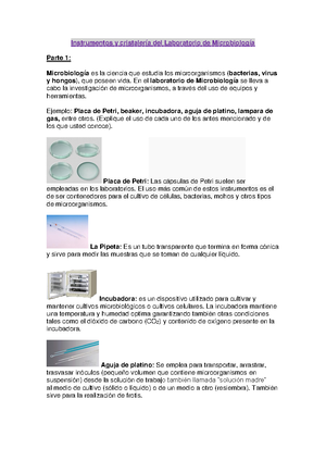 Toma de muestra liquido peritoneal - TOMA DE MUESTRA DEL LIQUIDO ...