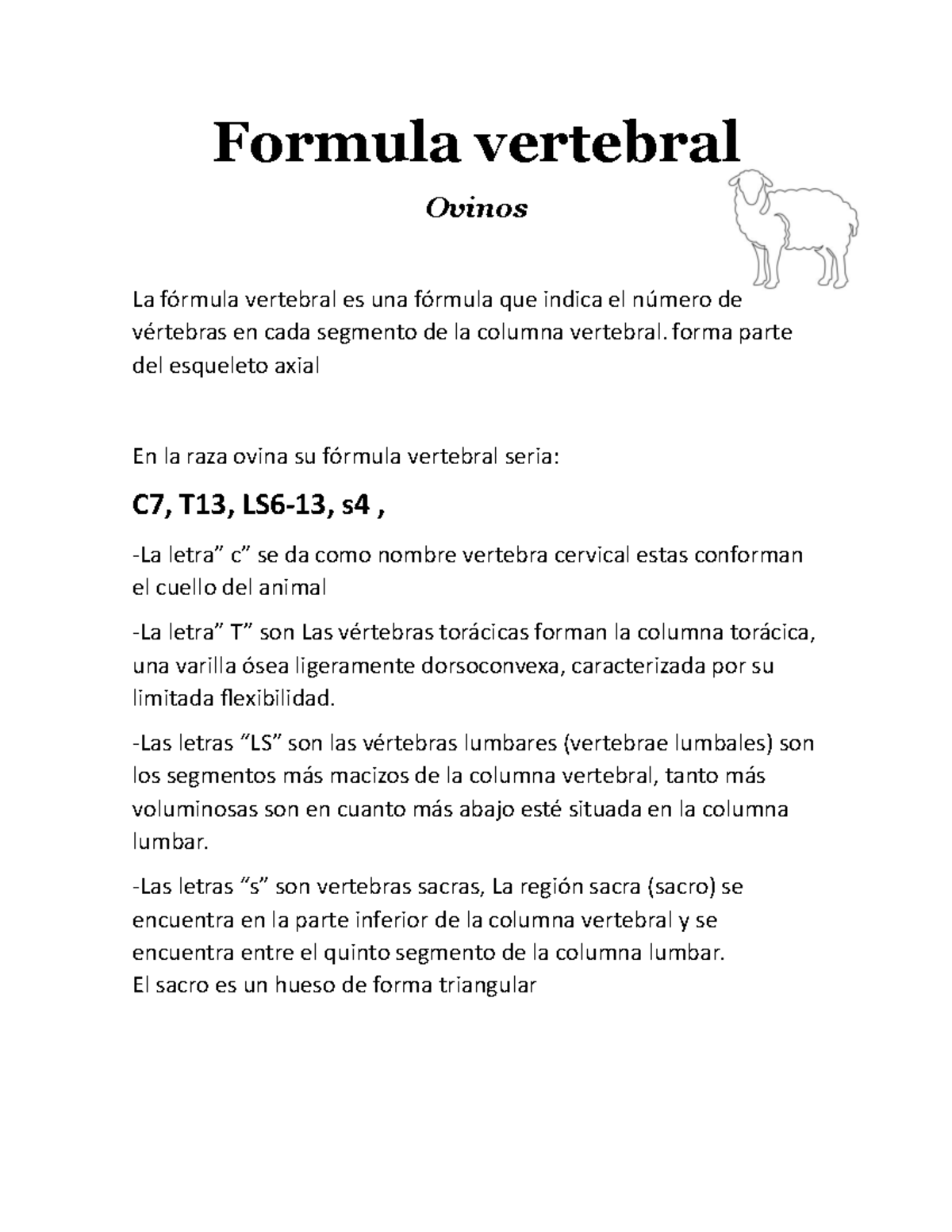 Fórmula Vertebral Ovina: Estructura y Segmentos de la Columna - Studocu