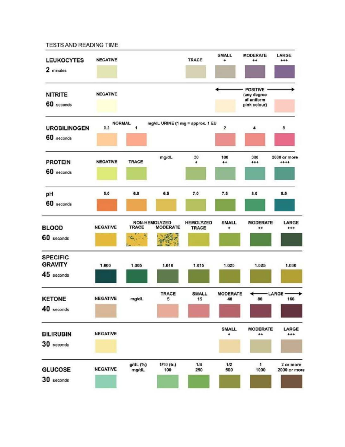 Urinalysis Reagent Strips: pH Color Guide and Test Results - Studocu