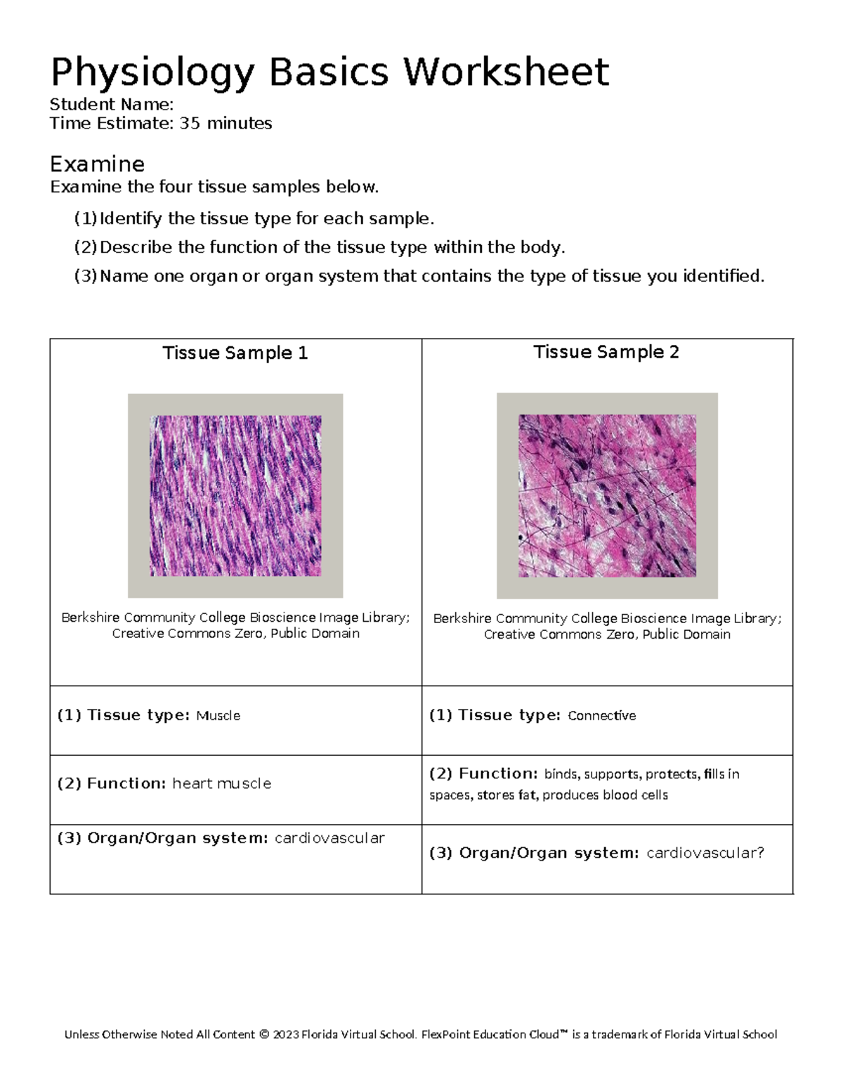1.03 Physiology Basics Worksheet: Tissue Identification and Functions ...