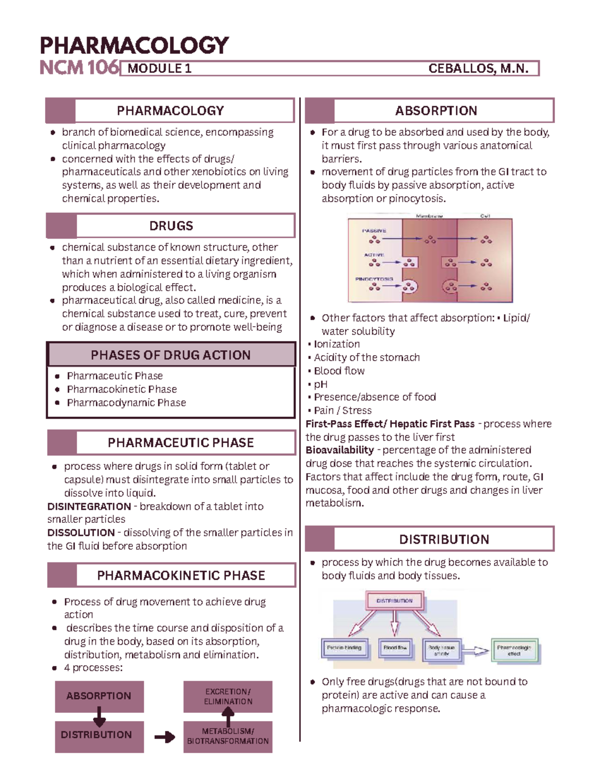 Pharmacology NCM 106 Module 1: Absorption and Drug Action Overview ...