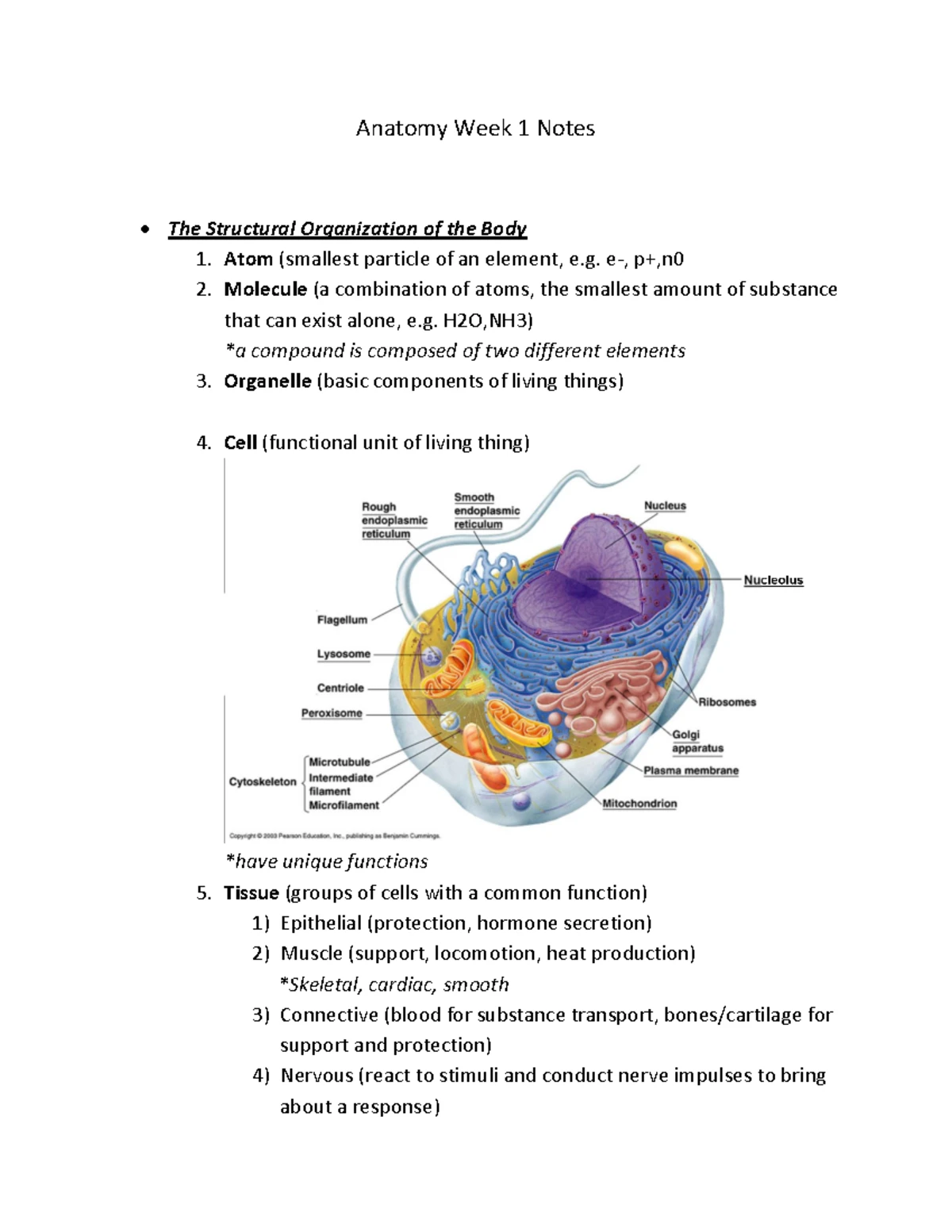BIOL 2113 Comprehensive Study Guide for Final Exam Review - Studocu