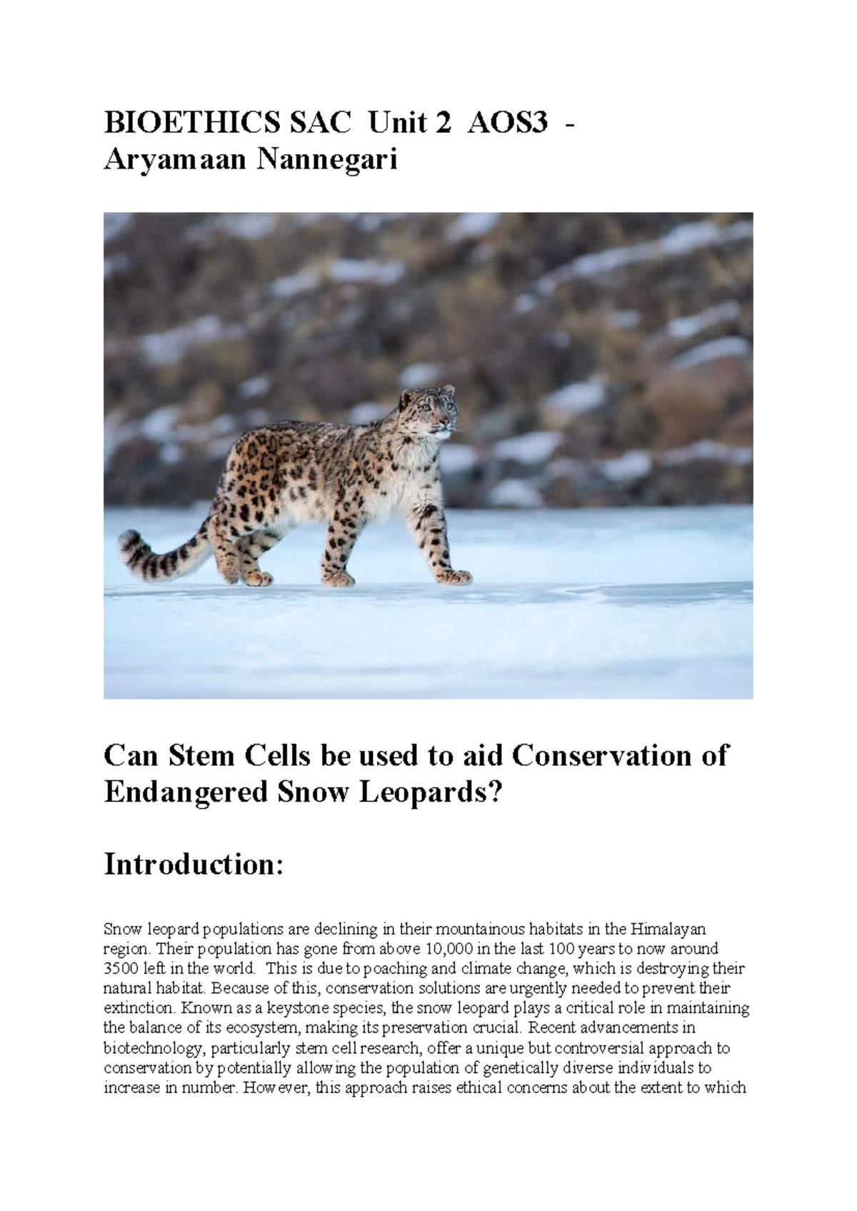 Bioethics SAC VCE Biology Unit 2 AOS 3: Stem Cells & Snow Leopard ...