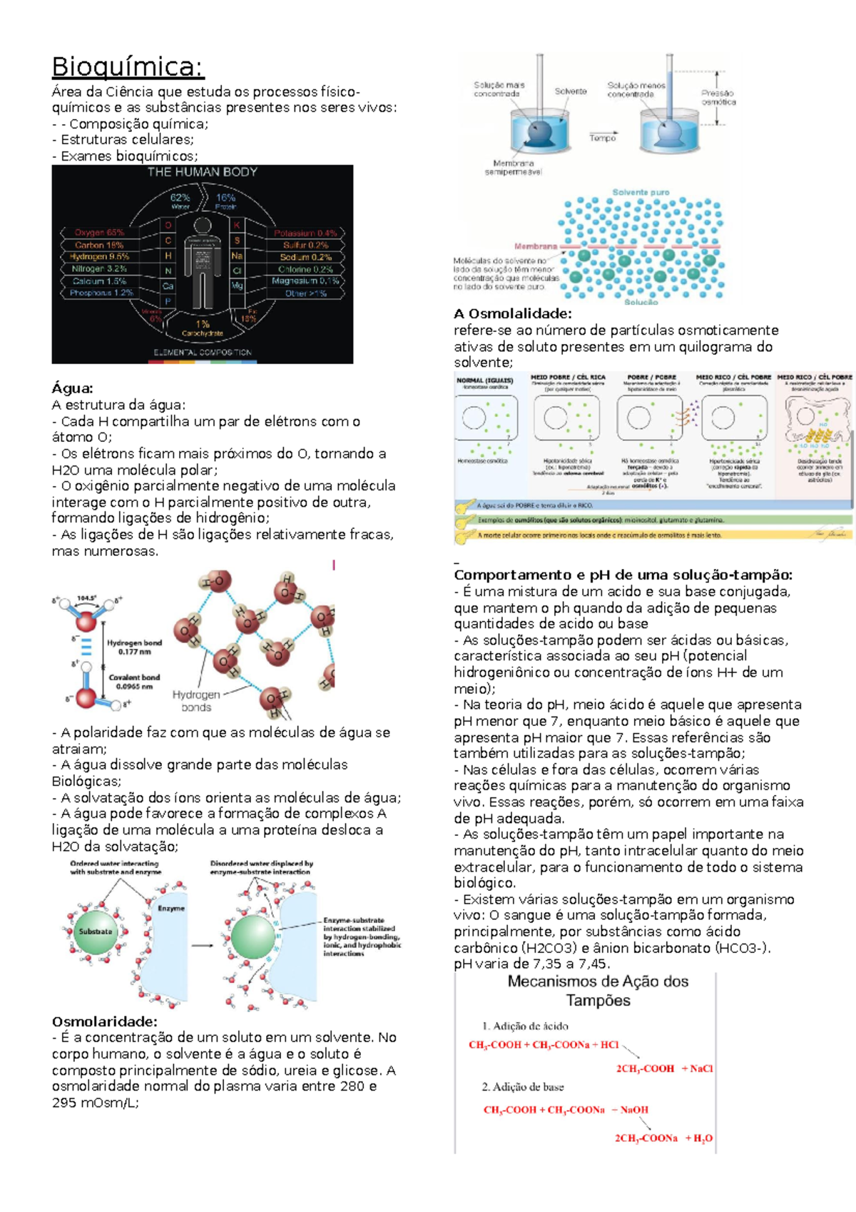 Resumo Bioquimica - Bioquímica: Área da Ciência que estuda os processos ...