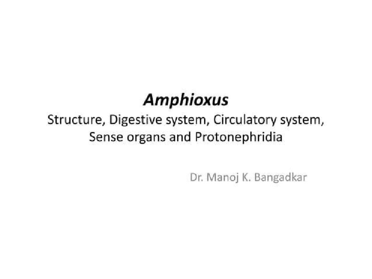 Amphioxus Structure and Systems: A Comprehensive Overview (BIO101 ...