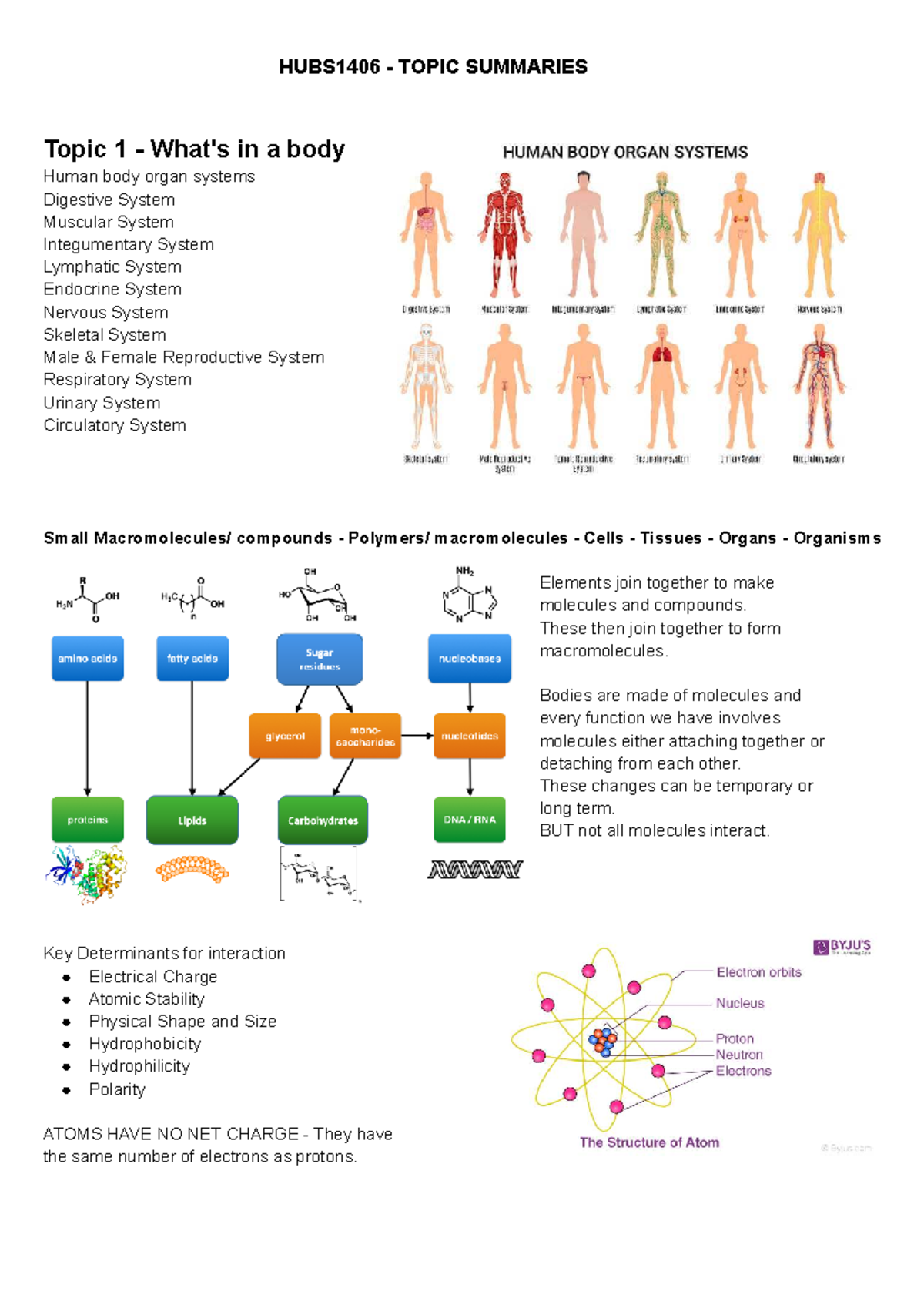 HUBS1406 - Comprehensive Topic Summaries on Human Body Systems and ...