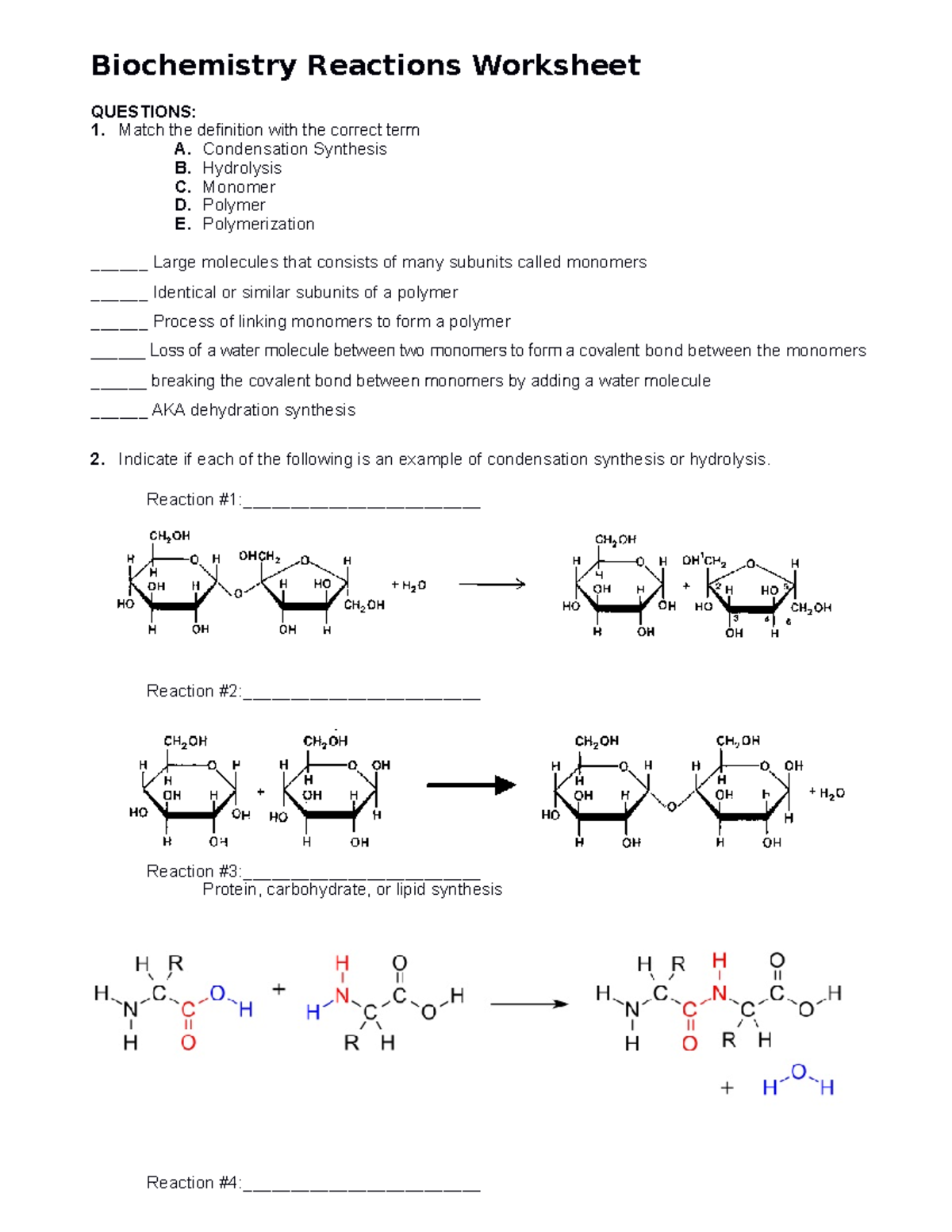 Biochemistry Worksheet SOLUTION: Biochemistry: Laboratory Activities