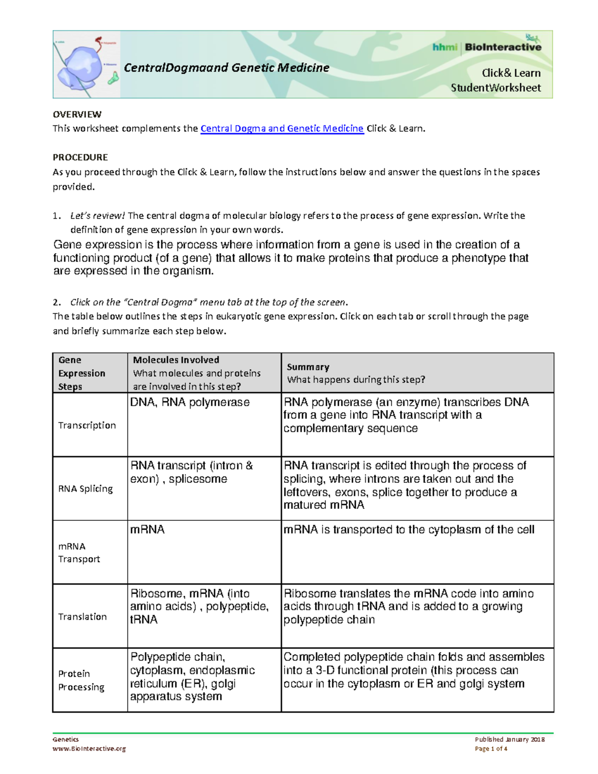 Central Dogma & Genetic Medicine: Student Worksheet for Genetics 101 ...