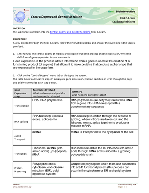 Lizards in an Evolutionary Tree - Puerto Rico, Cuba, Jamaica, and ...